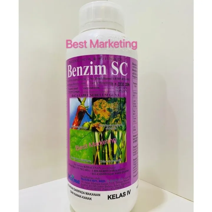 1LIT BENZIM MAXMA/ Karah Daun/ Kulat | Lazada