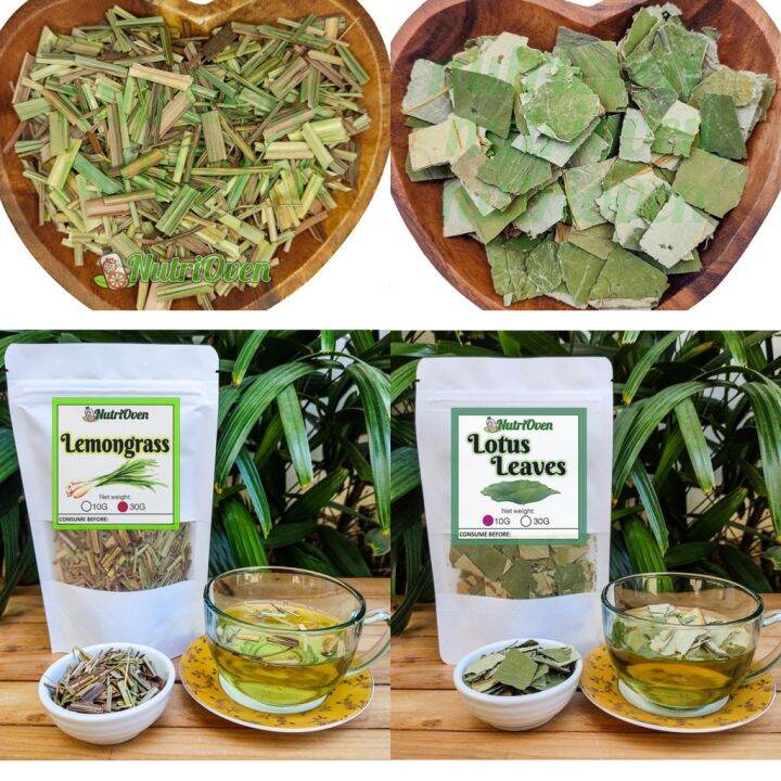 LEMONGRASS LOTUS leaves Tanglad Dried | Lazada PH