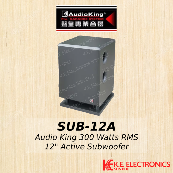 Audio King 300 Watts RMS 12" Active Subwoofer | Lazada