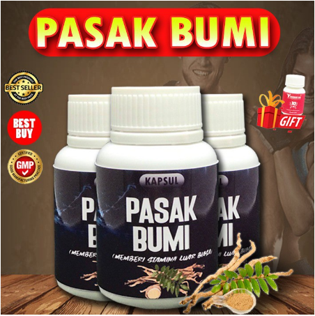 Tongkat Ali / Pasak bumi Rawat Tenaga Batin ,Keras , Mati Pucuk/Kurang ...