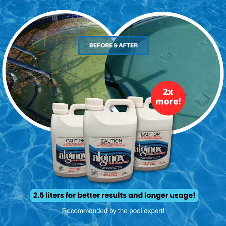 Swimming Pool & Spa Algaecide, Zodiac Alginox, 2.5Liters, WC000172 ...