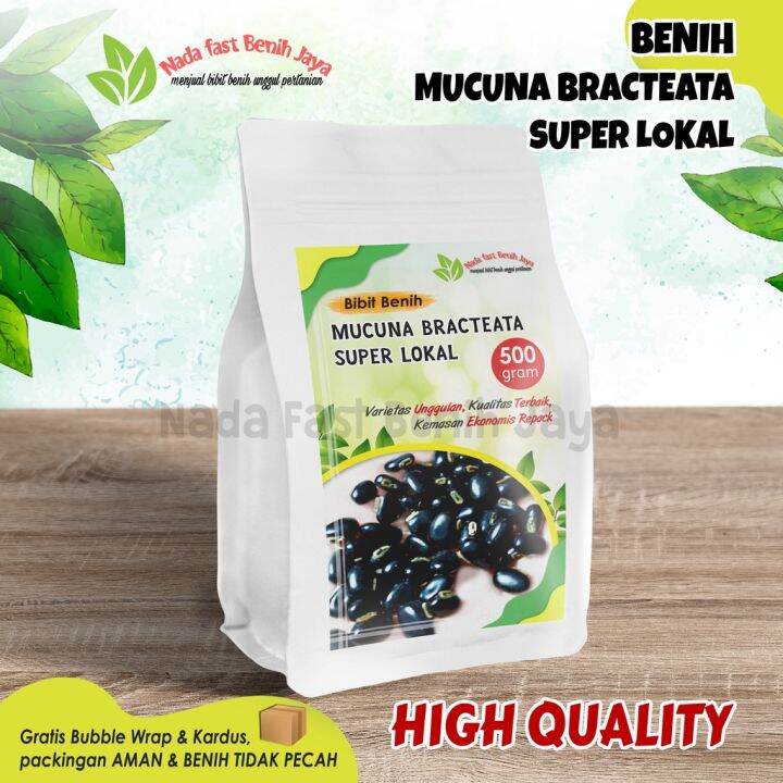 500 gram Benih mucuna super lokal Cover Crops kacang kacangan | Lazada Indonesia
