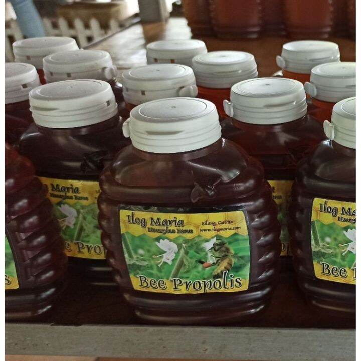 Ilog Maria Bee Propolis/Propolis Gold 320 ml | Lazada PH