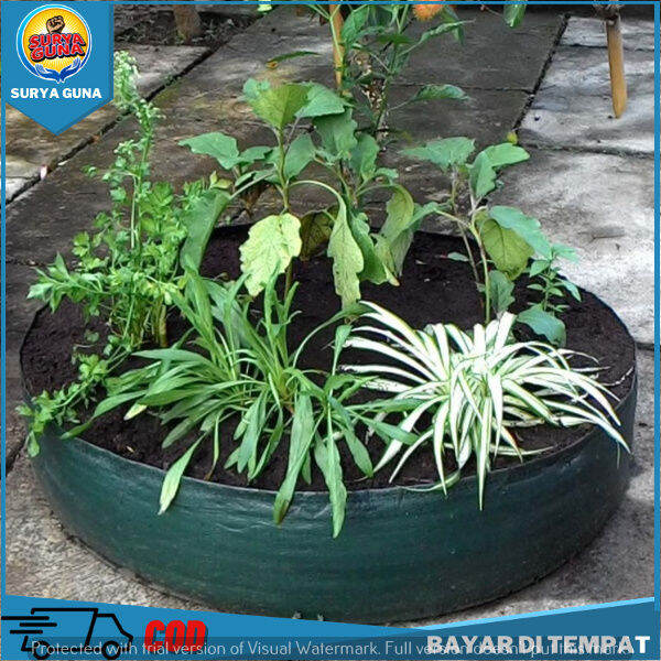 Raised Bed Easy Grow Vegetable Planter Kantong Tanaman Pot Tanam Sayur ...