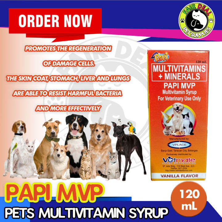 Papi MVP Vitamins + Minerals (120 mL) | Lazada PH