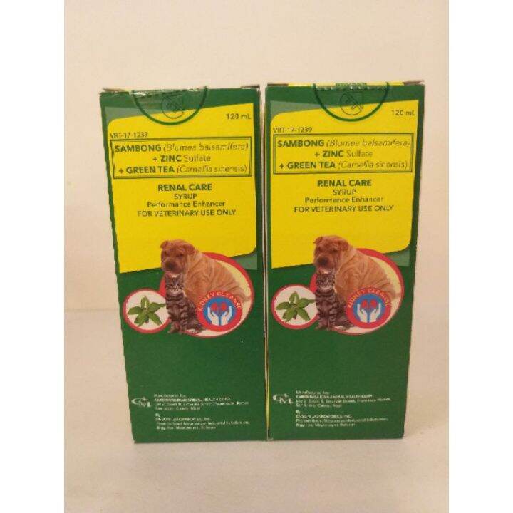 RENAL CARE SYRUP (SAMBONG +ZINC + GREEN TEA)zHm | Lazada PH