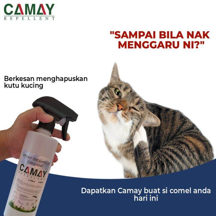CAMAY CAT FLEA LICE SPRAY - SPRAY KUTU KUCING DAN SERANGGA | Lazada