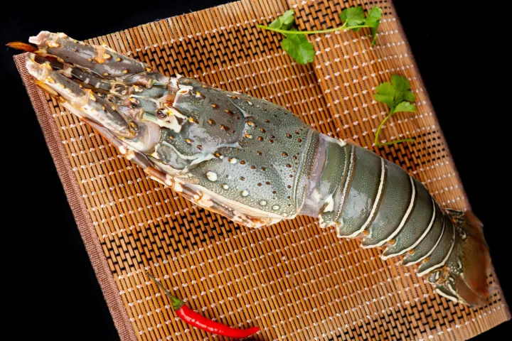 IQF Green Lobster | Lazada