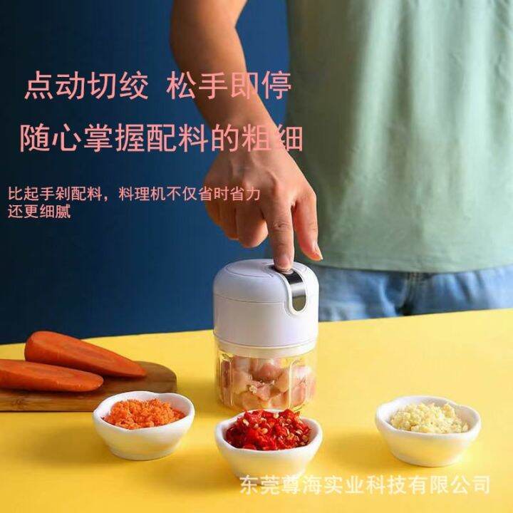 Mini and Multifunctional Rechargeable Food Processor | Lazada PH