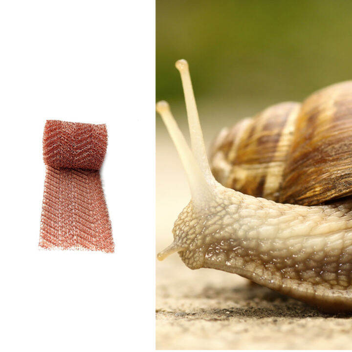 Signal Shielding Mesh Anti-snail Copper Wire Mesh Braided Copper Mesh ...