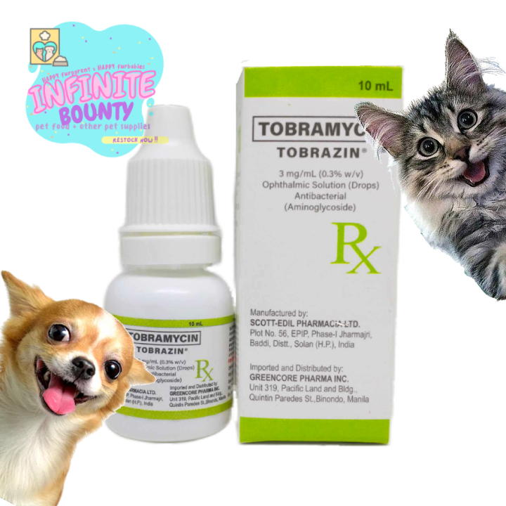 Pet Eye Care | Tobramycin | Tobrazin 10ml | Lazada PH