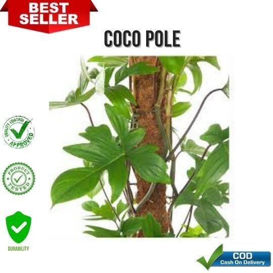 COCO POLE FOR PLANTS 1PC Coco Coir Poles COCO POLE Plant Support Poles ...