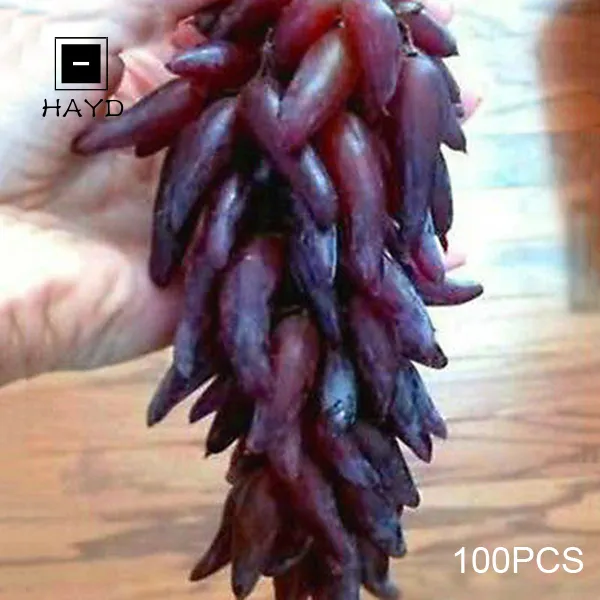 HAYD 100 Pcs/Set Rare Finger Grape Seeds Advanced Fruit Seed Natural Growth Grape Delicious Home ...