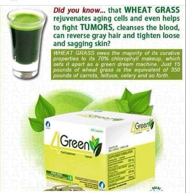 JC Premiere 4Green | Lazada PH