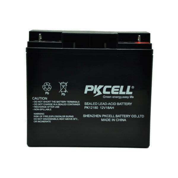 PKCELL 12V / 20Ah Lead Acid Rechargeable Battery | Lazada PH