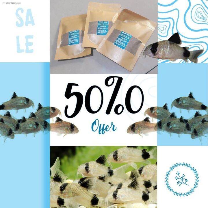 ∈ ghjui Aquarium Water Conditioner Safe Guppy Grass Aquatic Plant Other ...