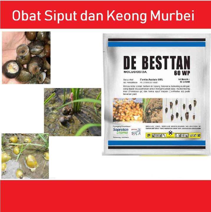 DeBesttan 100 Gram Obat Siput Obat Keong Murbei | Lazada Indonesia
