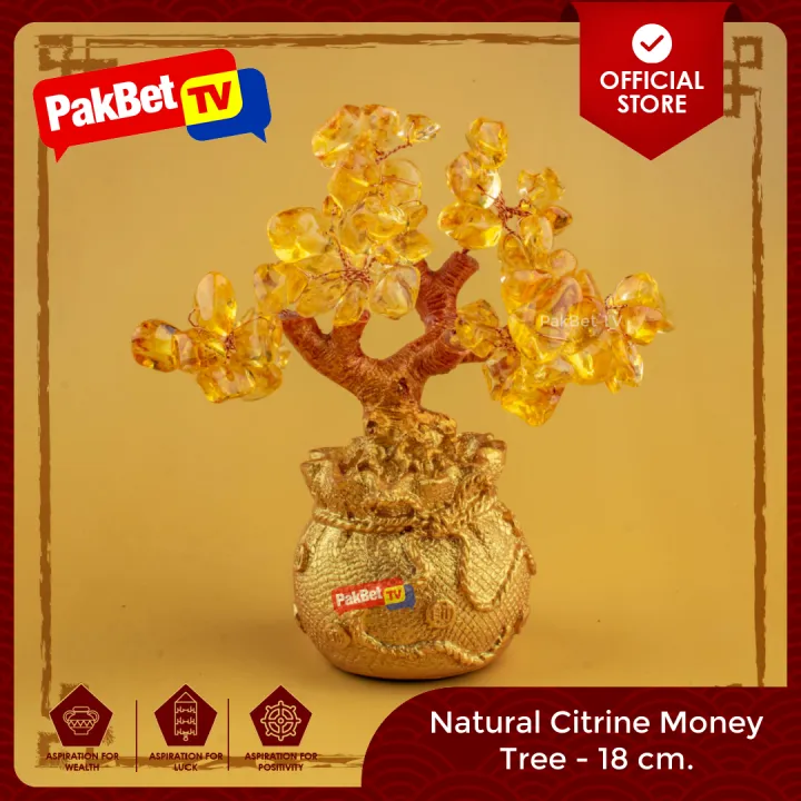 Natural Citrine Money Tree 12cm | Feng Shui by PakBet TV | Lazada PH