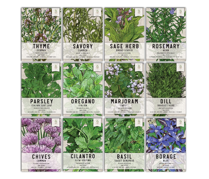 Seed Needs, Culinary Herb Seed Packet Collection (12 Individual ...