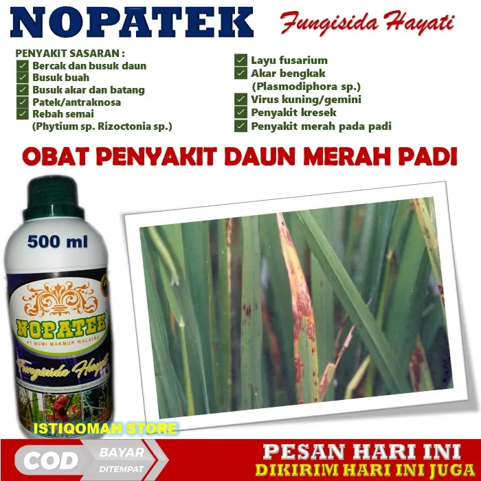 Obat Semprot Padi Mati Pucuk Daun Kuning NOPATEK 500ML Fungisida Hayati ...