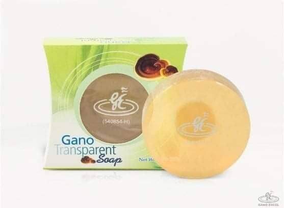Gano Transparent Soap | Lazada PH