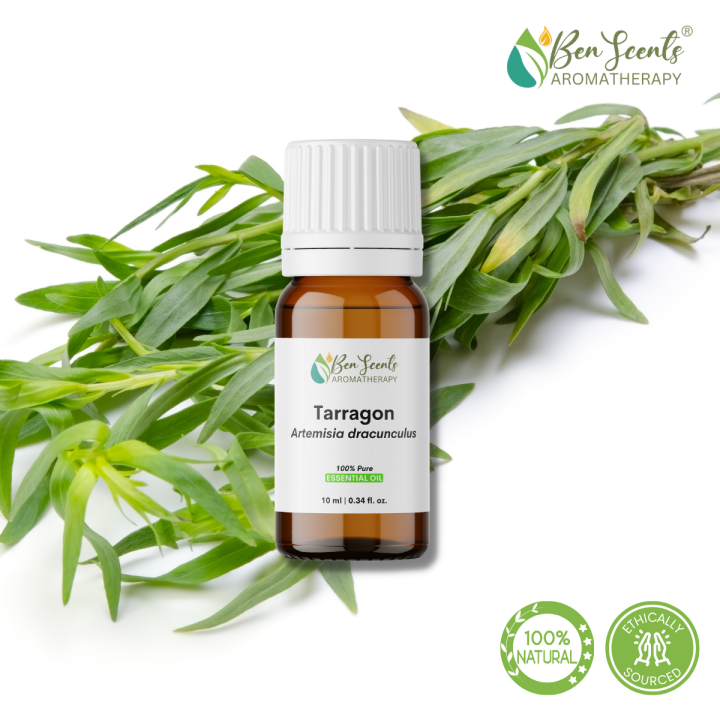 Tarragon (Estragon) Essential Oil | 100% Pure | Undiluted | Plant Based ...