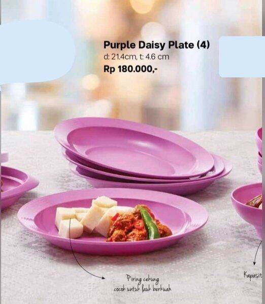 Tupperware Large Deep Plate | Lazada Indonesia