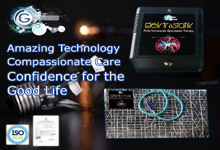 ELEKTROSTATIK - BODY HOMEOSTATIC ELECTROSTATIC THERAPY MACHINE (like ...
