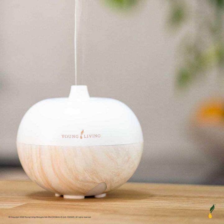 Aromaglobe Ultrasonic Wireless Diffuser | Lazada PH