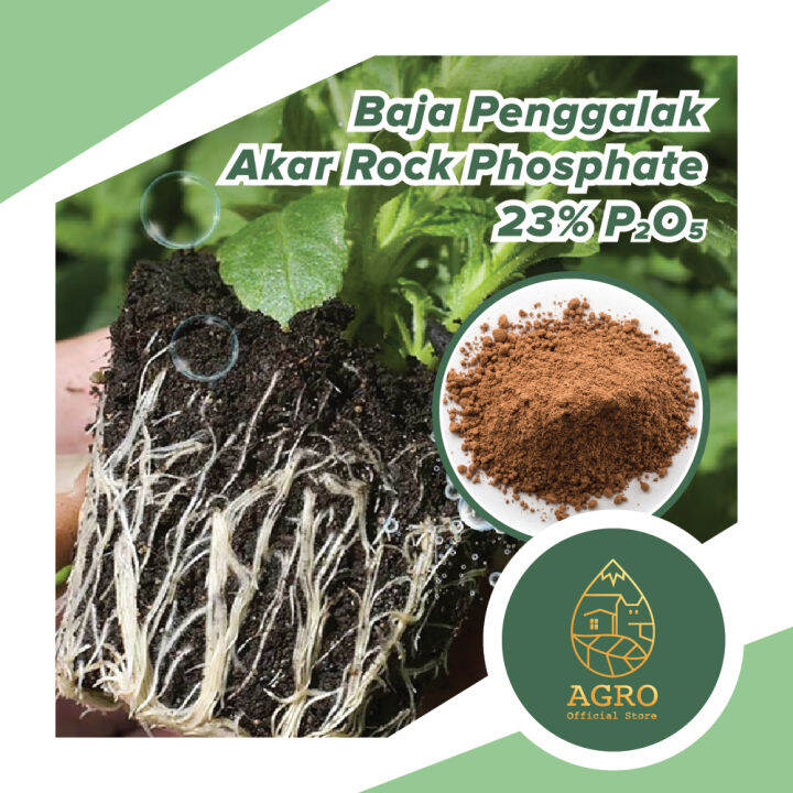 1KG Baja Penggalak Akar CIRP/ERP Egyptian Rock Phosphate (baja akar ...