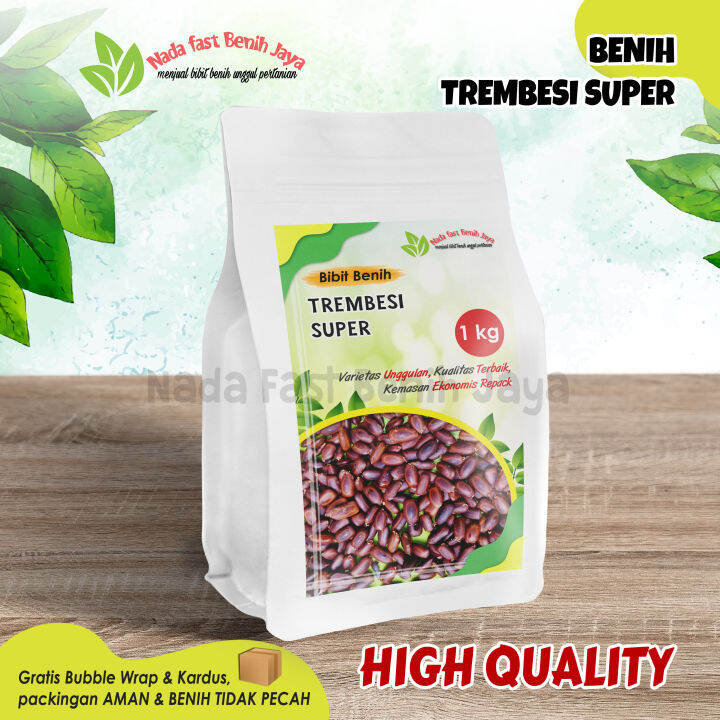 Benih biji pohon trembesi 1 Kg / bibit benih tanaman trembesi super ...