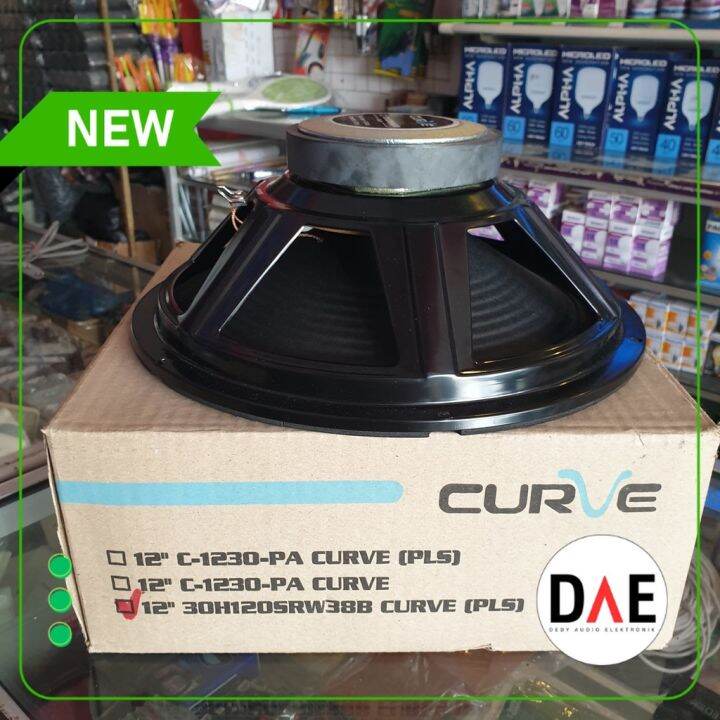 Speaker Curve 12 inch Woofer - 30H120SRW38B CURVE PLS | Lazada Indonesia