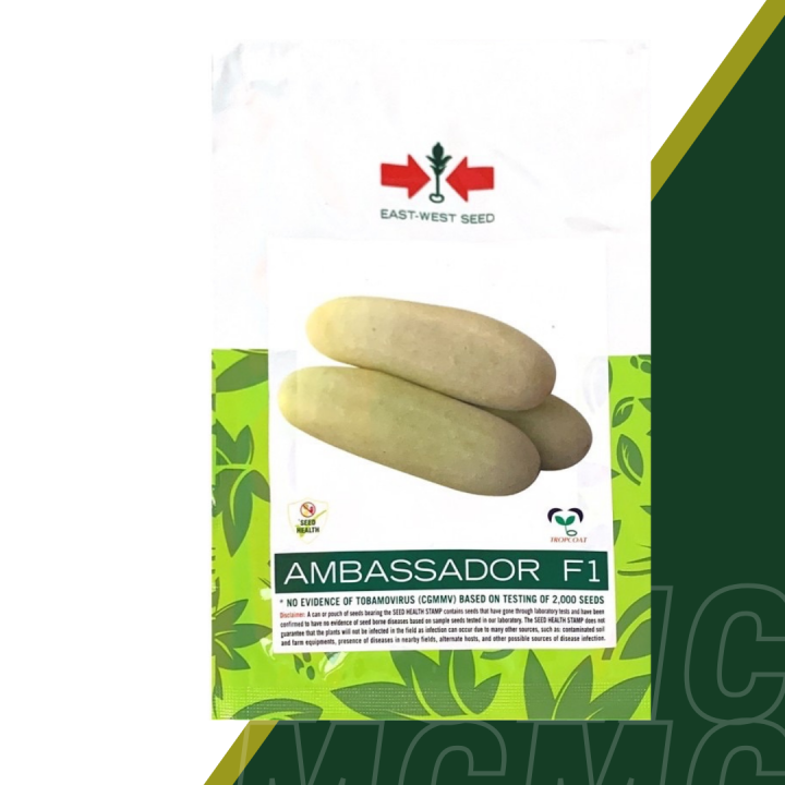 East West Mayumi Upo Asenso Pack 202 | Lazada PH