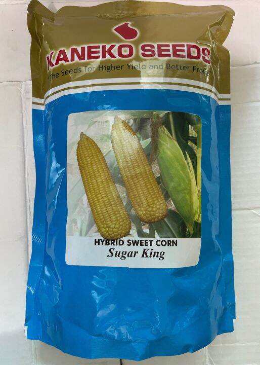 Sugar King Hybrid Japanese Sweet Corn (1 kl) by Kaneko Seeds | Lazada PH
