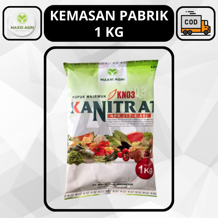 Pupuk Majemuk KANITRAT KNO3 1 KG Maxxi Agri 1Kg | Lazada Indonesia