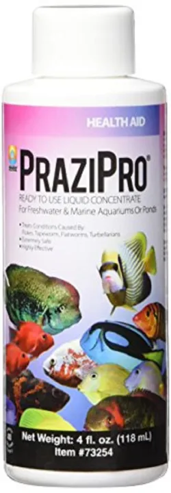 Hikari Usa AHK73254 Prazipro for Aquarium, 4-Ounce | Lazada PH