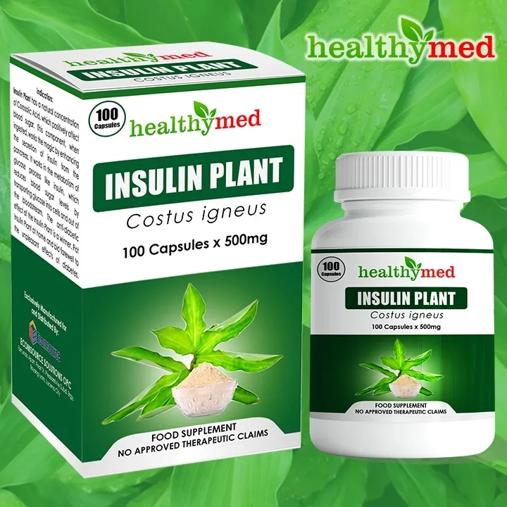 Factory direct sales Healthymed Insulin Plant Capsule - Pure Organic ...