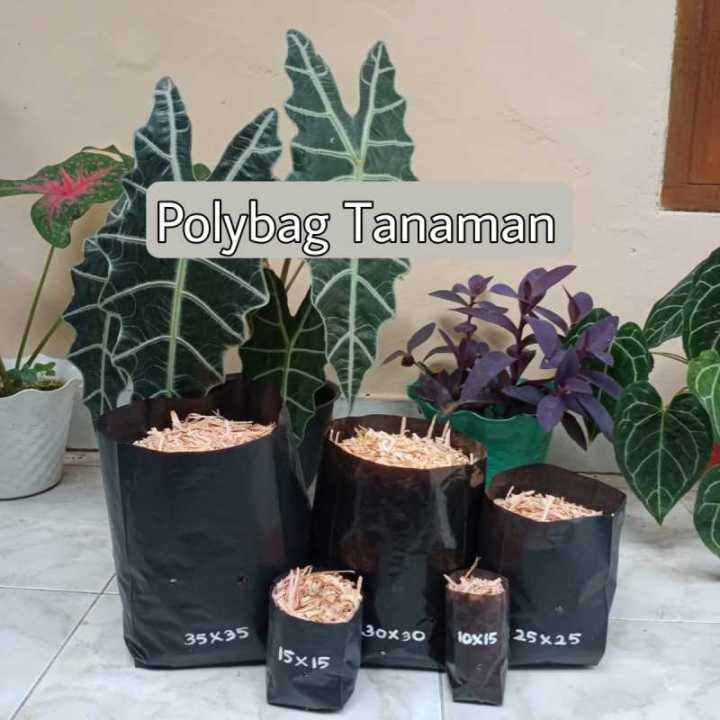 5 Lembar Polybag 15x15 cm, cocok untuk penyemaian berbagai jenis bibit ...