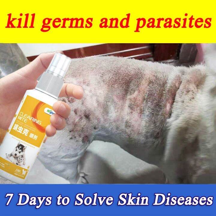 【vetcore】Pet Spray For Dog Cat Ringworm Solve the Problems of Fungus ...