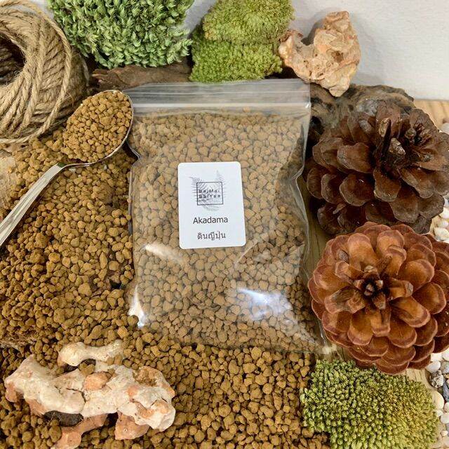 ดินญี่ปุ่น akadama พร้อมใช้ | Lazada.co.th