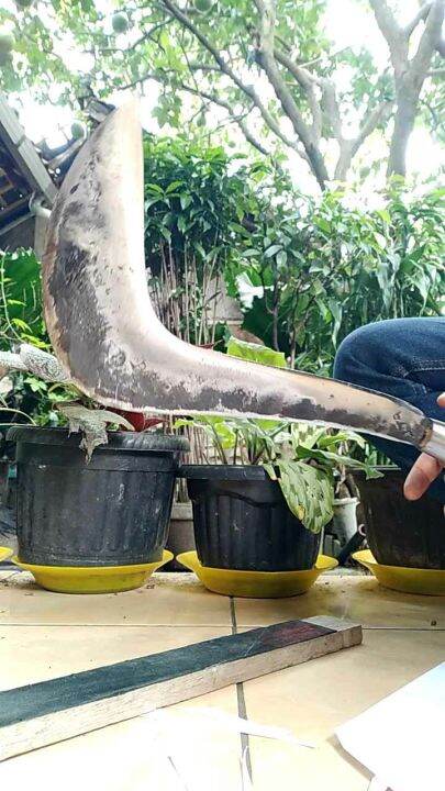 Arit congkrang PCL tajam. Alat berladang,berkabun. perlengkapan betani | Lazada Indonesia