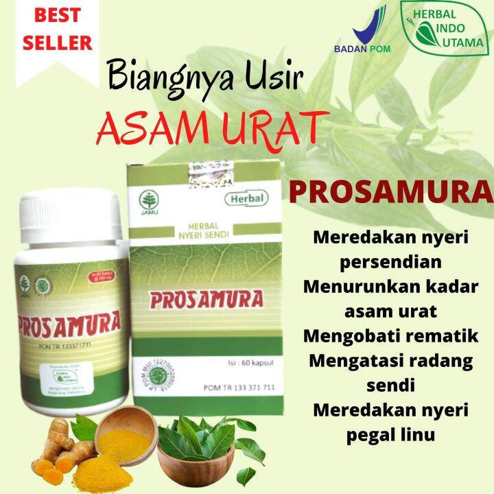 Hiu Prosamura Obat Asam Urat Dan Rematik Nyeri Sendi Pegel Linu Herbal ...