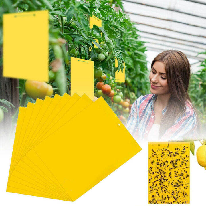 20pcs Wholesale Yellow Glue Sticky Paper Board Insect Trap Catcher ...