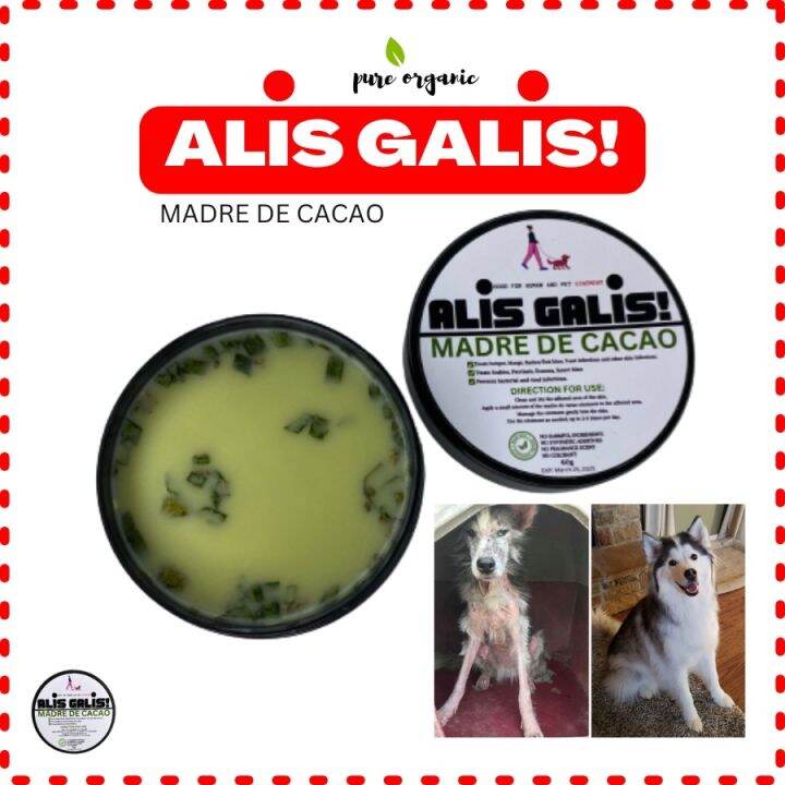 Original Product ♀ ALIS GALIS! Madre Cacao for Human and Pet Ointment ...