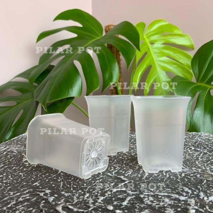 [Ready] Pot Bunga Tanaman Mini Kotak Bening Transparan 5Cm - Nkt Mini ...