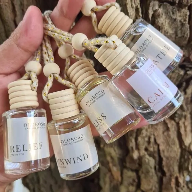 Oloroso Hanging Diffuser | Lazada PH