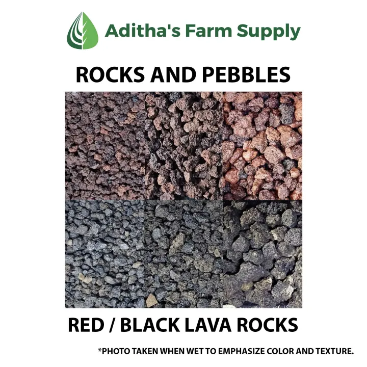 Red and Black Lava Rocks Garden Ornaments | Lazada PH