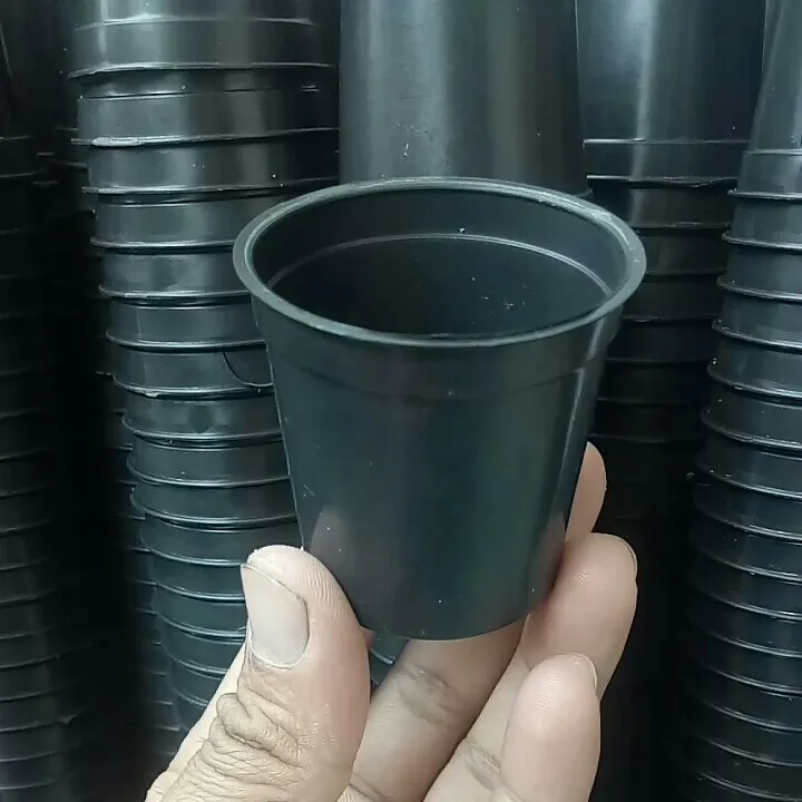 pot kecil 5 cm hitam 2 lusin | Lazada Indonesia