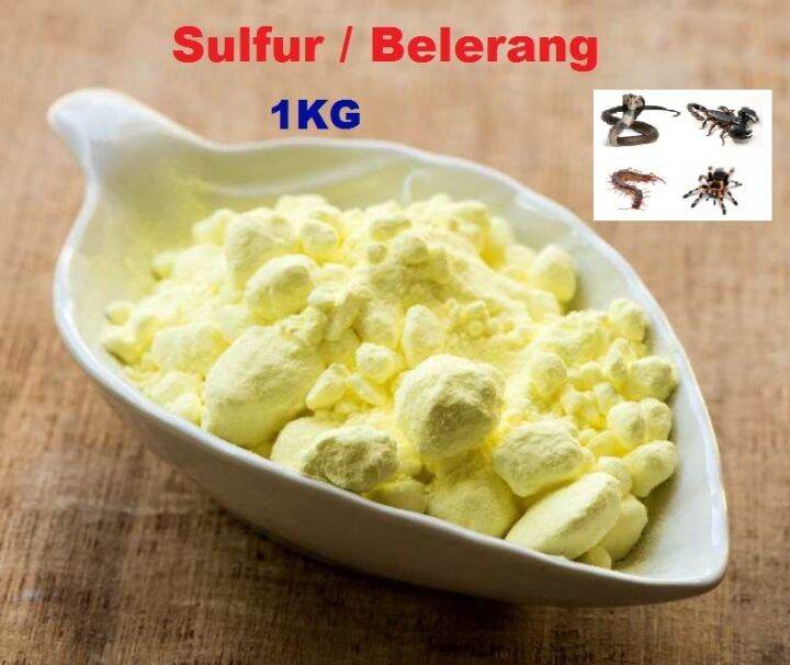 1Kg Sulfur / Serbuk Belerang - Halau Serangga | Lazada