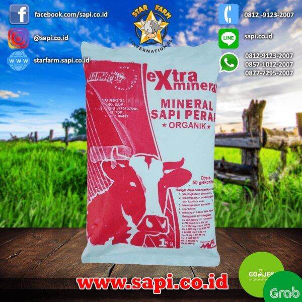 EXTRA MINERAL PREMIX SAPI PERAH 1KG | Lazada Indonesia